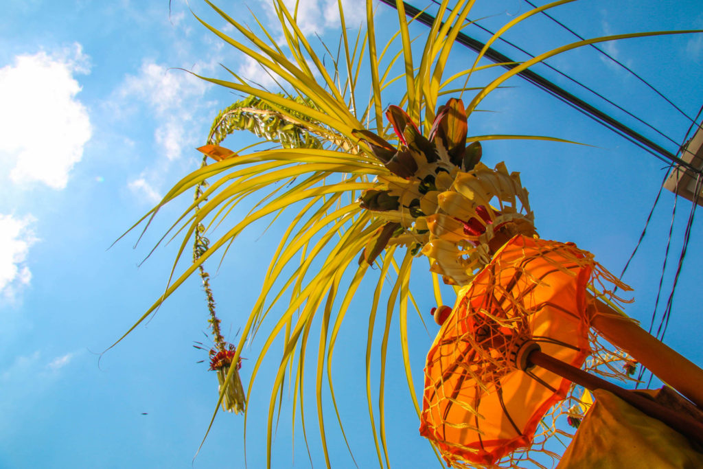 SUMMARY: What I Did in Bali, Indonesia - Backpacking People